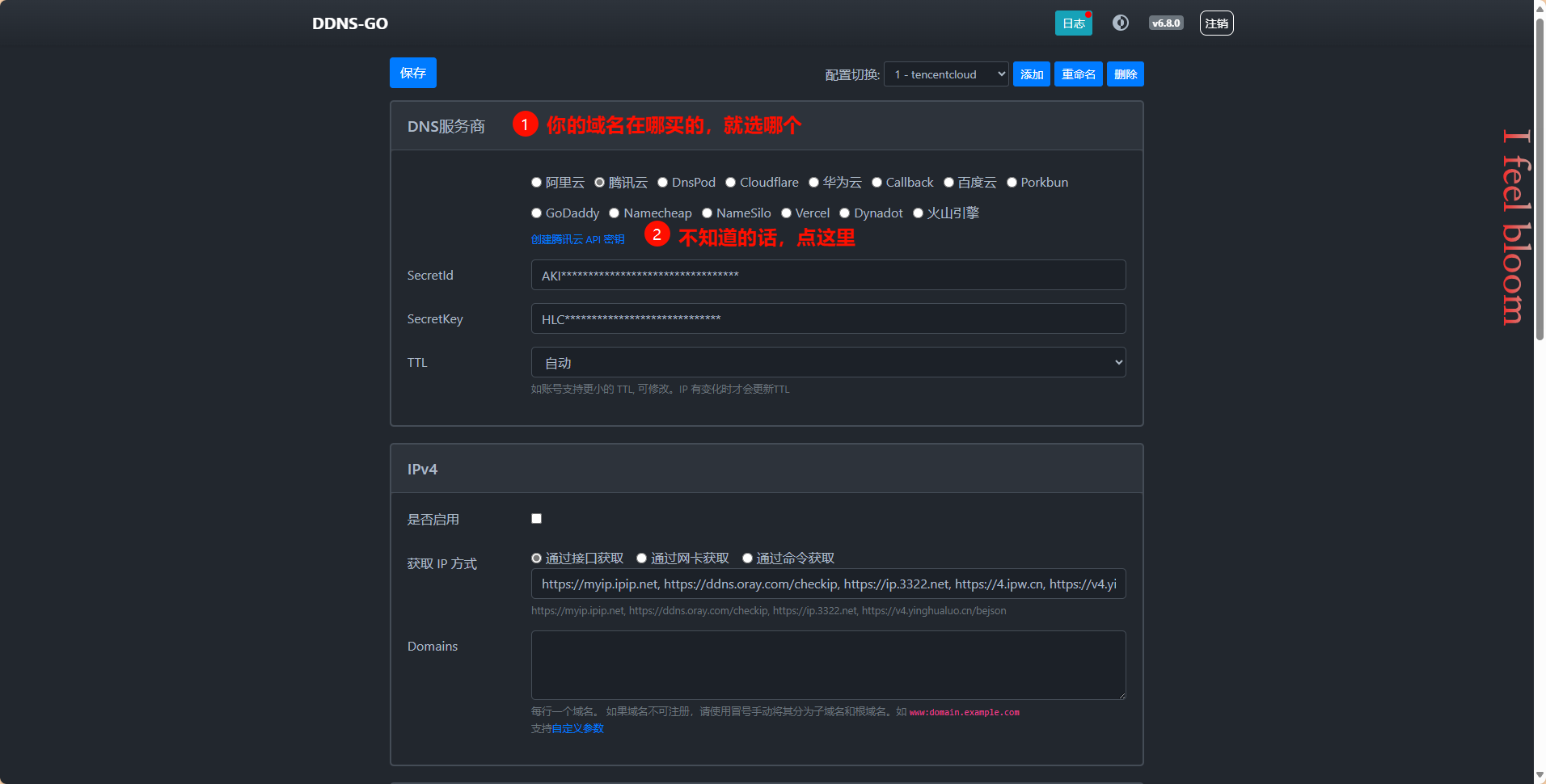 Nas实现公网访问（IPv6 + DDNS-GO）|BelieveSun的小站